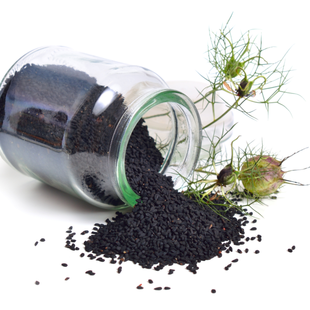 Differences Between Black Seed Oil, Black Cumin, and Cumin: Plants and ...