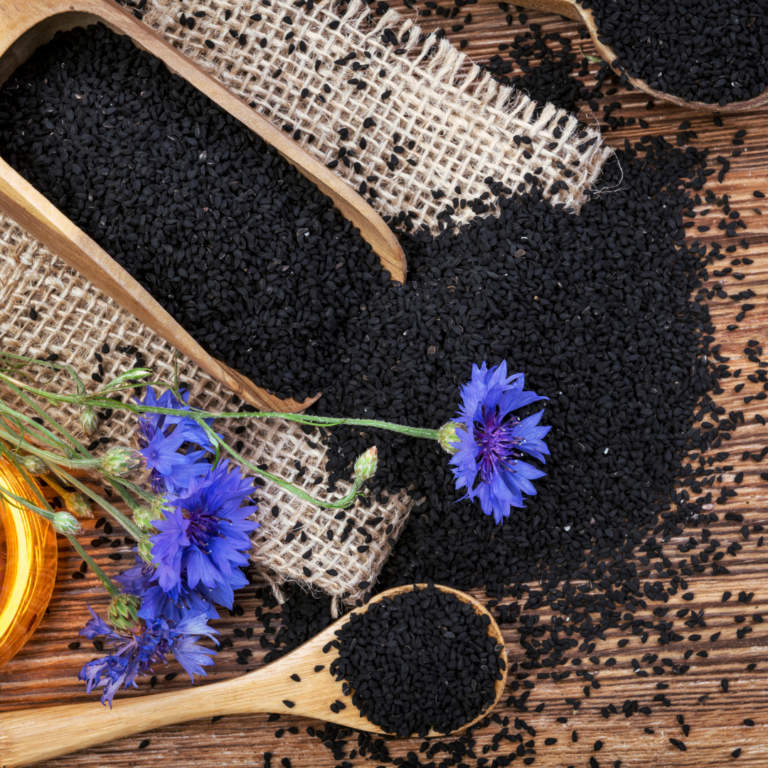 Differences Between Black Seed Oil, Black Cumin, and Cumin: Plants and ...